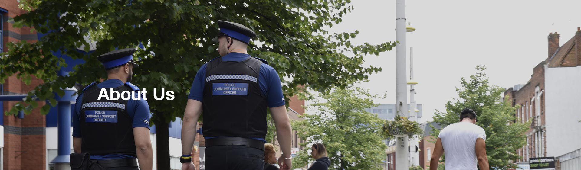 About Us - TVP Careers