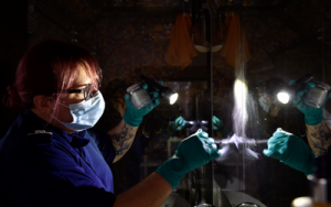 Meet Sarah, Crime Scene Investigator CSI - TVP Careers