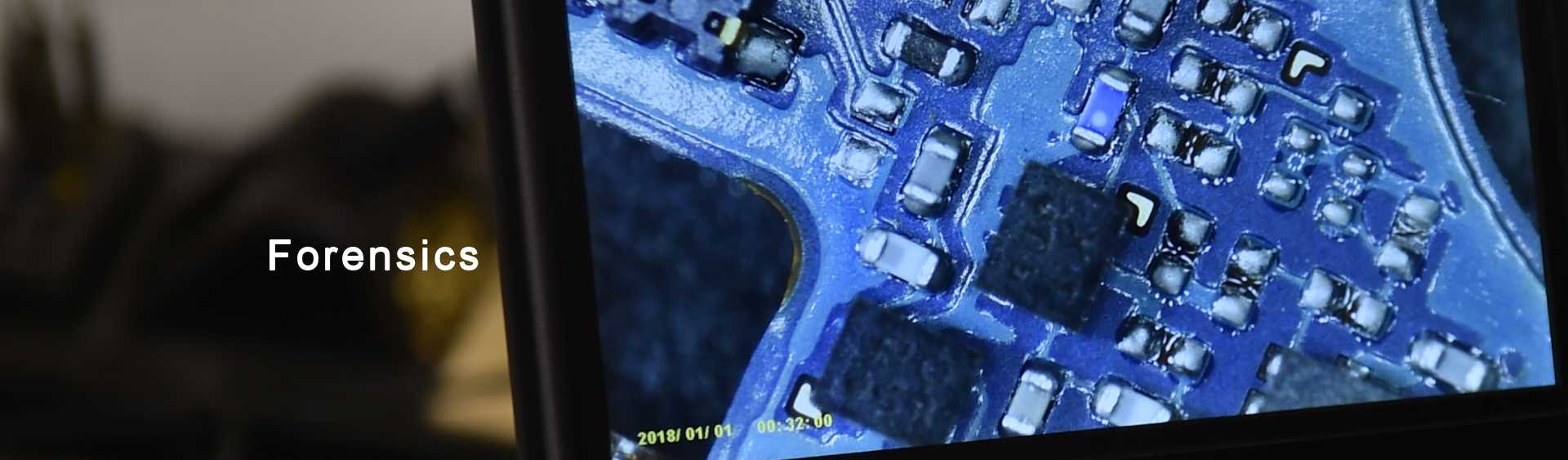 Meet Laura, Digital Forensic Investigator - TVP Careers