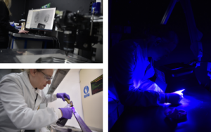 Analytical Forensic Services – TVP Careers