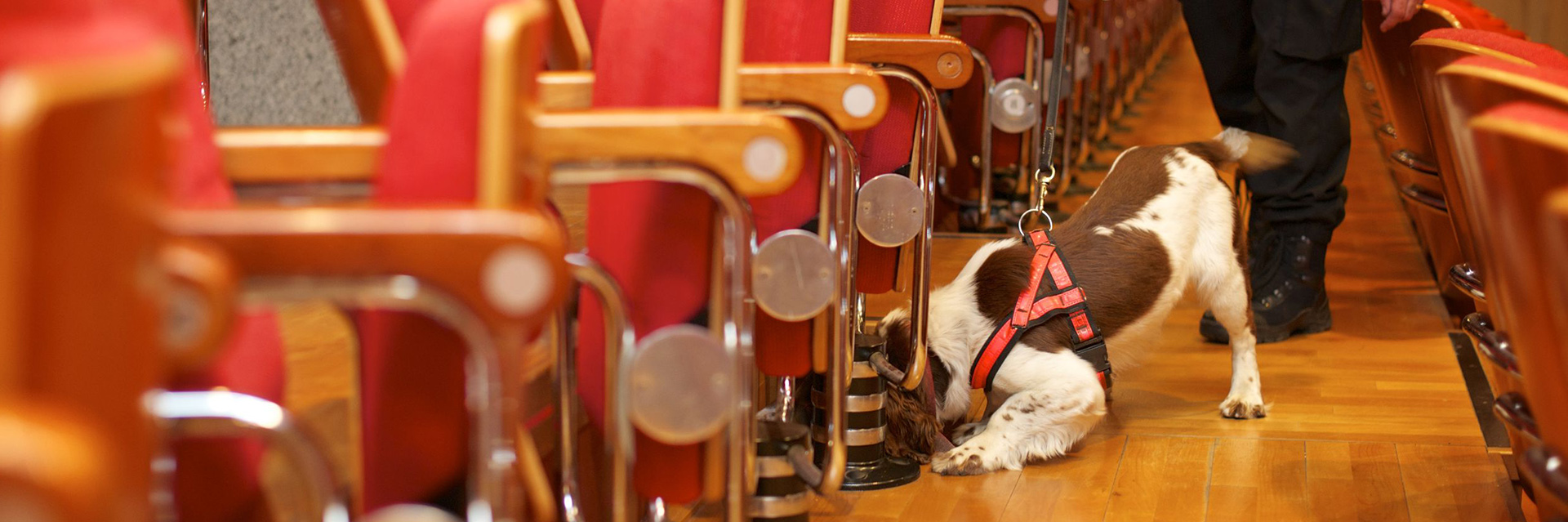 Counter Terrorism Policing South East (CTPSE) - TVP Careers