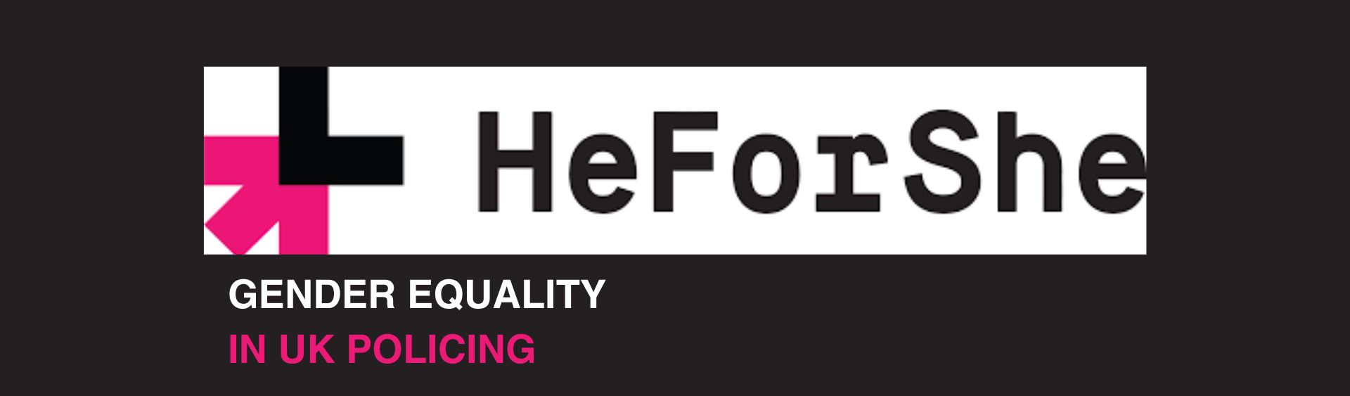 Gender Equality in UK Policing Report - TVP Careers